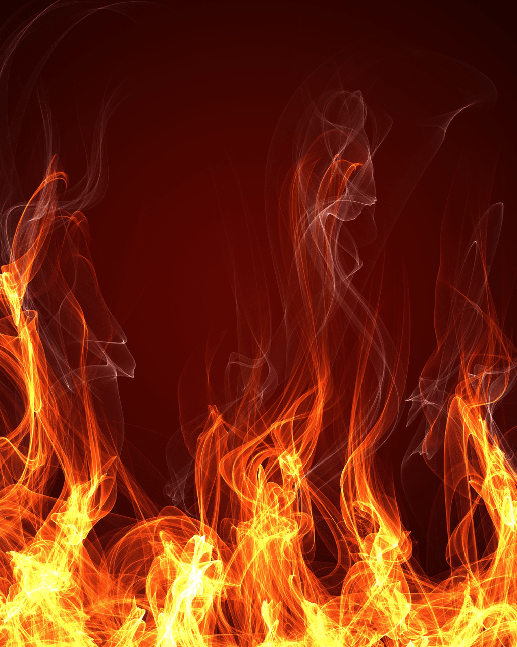 FLASH SALE | Catfish Pro