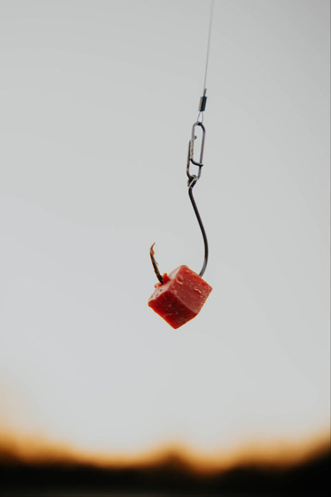 Catfish Pro | Premium Catfish Bait, Rods, Reels, and Gear for Everyone