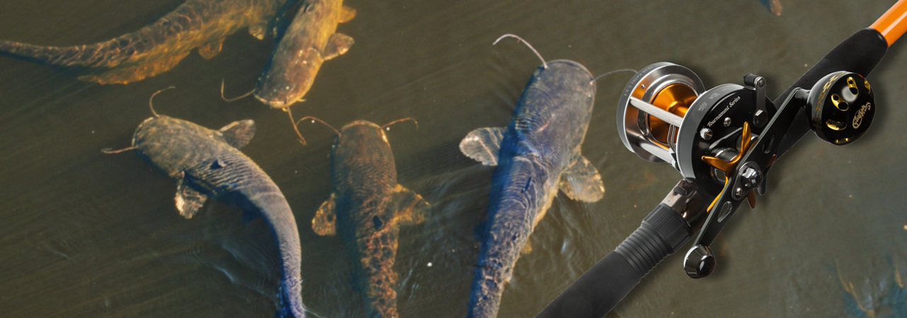 Catfish Pro | Premium Catfish Bait, Rods, Reels, and Gear for Everyone